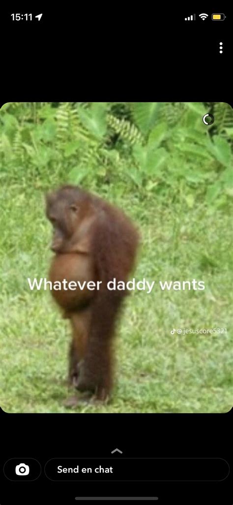 Hate Those Monkeys By Obamadog Sound Effect Meme Button Tuna