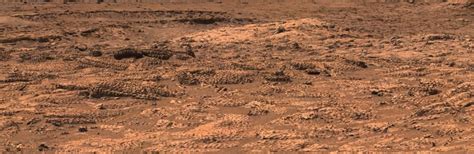 Dragon Scales” Spotted On Mars What The Rover Really Uncovered