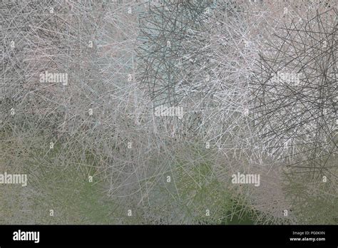 Abstract Geometric Background With Shape Of Messy Random Line Circles Pattern Vector