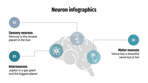Neuron Infographicspptx