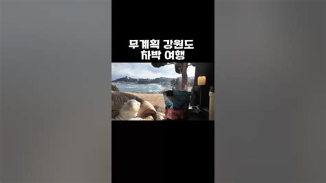 급떠난 강원도 차박여행 토레스evx 전기차로 떠나는 무계획 차박여행 애견동반 차박여행 대포항 물치항 장호항 Youtube