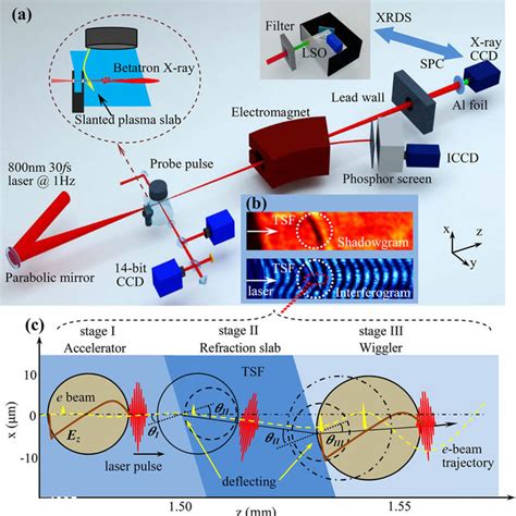 Hfss Model Of The 56π Traveling Wave Structure A And Coupler