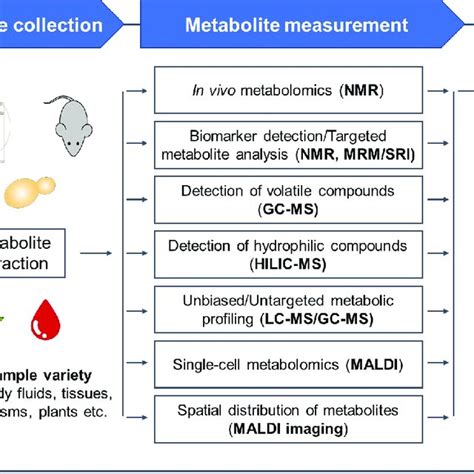 Metabolomics Approaches In Human Pathogenic Fungi An Overview Of The