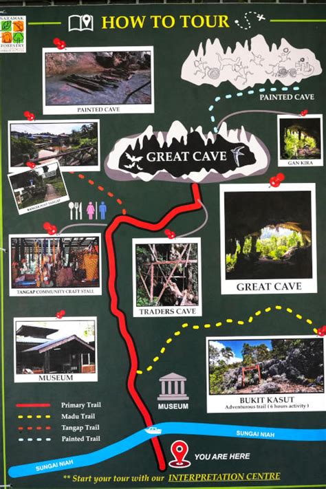 Niah Cave Exploring Cave In Niah National Park Day Tour