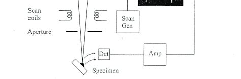 Schematic Diagram Of The Main Components Of A Sem Download Scientific