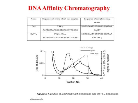 Dna Affinity Chromatography Protocol At Michael Wannamaker Blog
