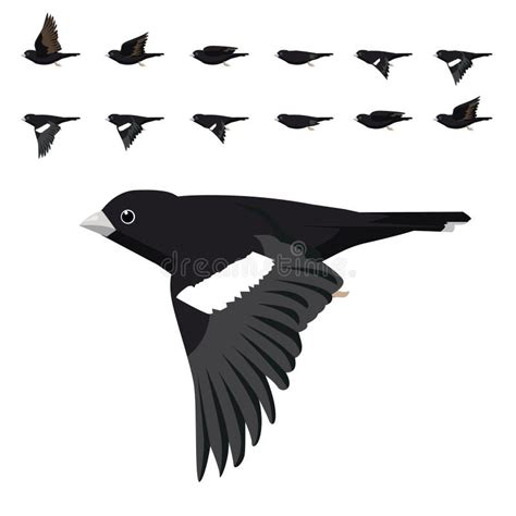 Lark Bunting Flying Animation Sequence Cartoon Vector Stock Vector