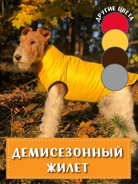 Жилет для собаки утепленный на молнии, попона для, куртка для ...