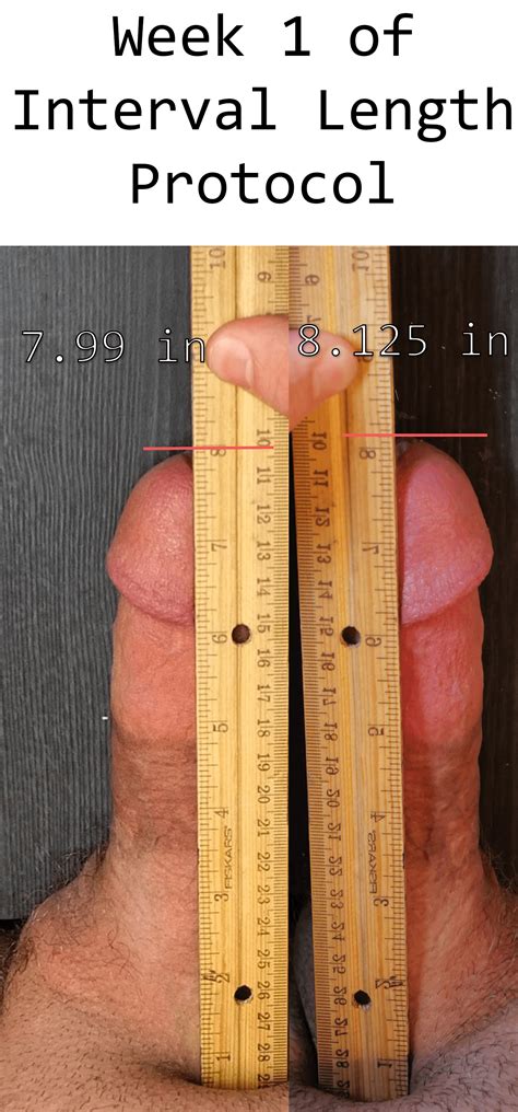 The Supplements You Need To Consider For Maximum Gains Erection