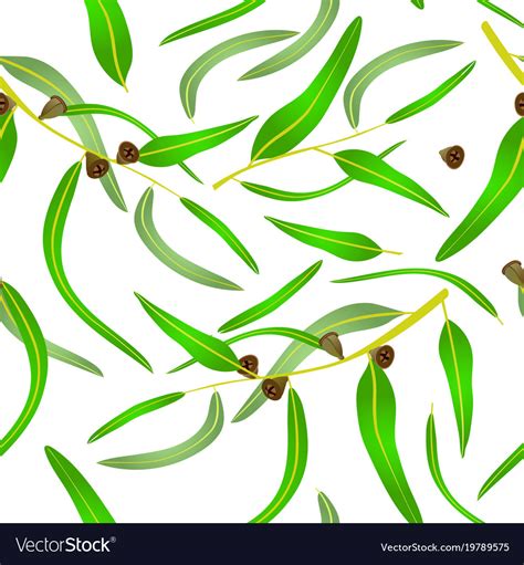 Eucalyprus Seamless Pattern Royalty Free Vector Image