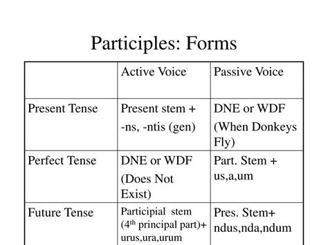 Ppt Understanding English Participles Forms Functions And