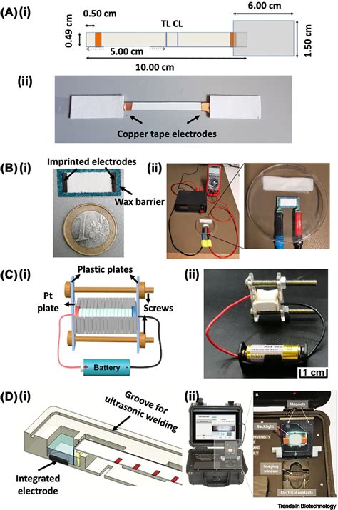 Exploring The Potential Of Paper Based Electrokinetic Phenomena In Poc
