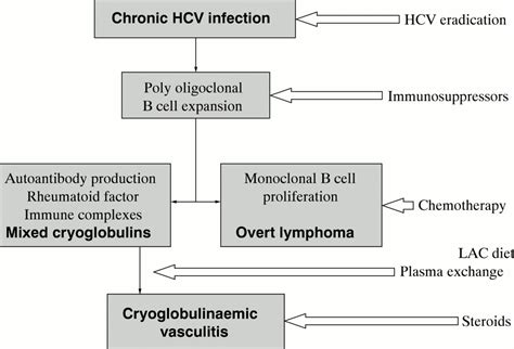 Cryoglobulins Journal Of Clinical Pathology