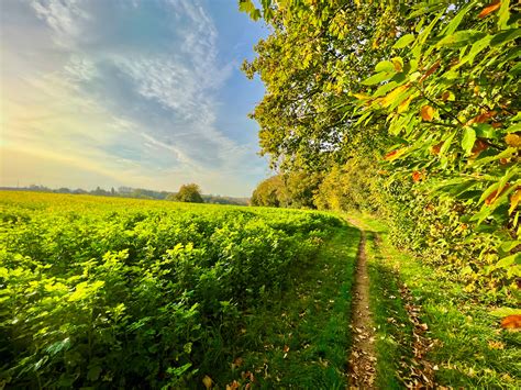 Ulrich Libbrechtwandeling Wndln