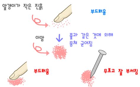 퇴적암을 이루고 있는 알갱이 관찰