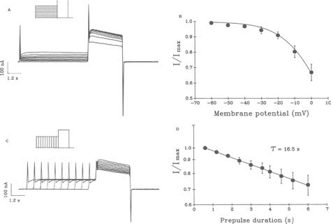 Figure 1 From A Delayed Rectifier Potassium Current In Xenopus Oocytes