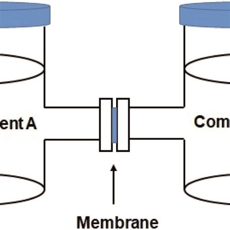 Schematic Of The Diffusion Cell Download Scientific Diagram Schematic Of The Diffusion Cell Download Scientific Diagram
