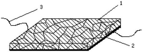 High Sensitivity Flexible Pulse Condition Detection Probe Based On Three Dimensional Graphene