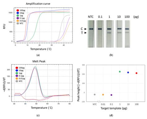 Introducing Triplex Forming Oligonucleotide Into Loop Mediated