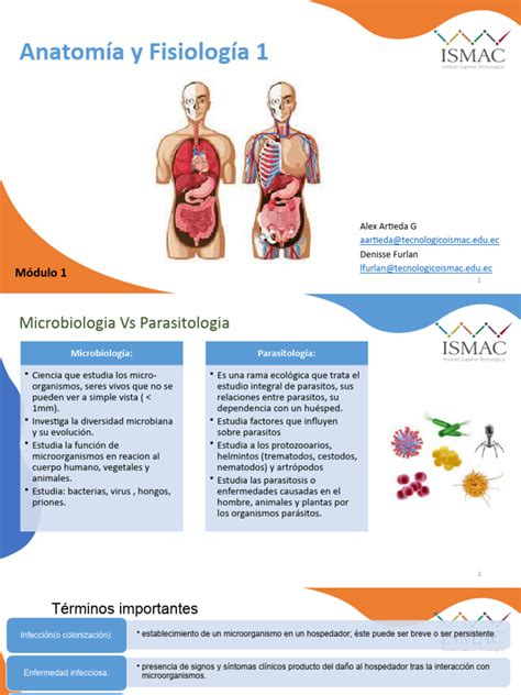 13 Microbiología Básica Descargar Gratis Pdf Ciencias De La Salud