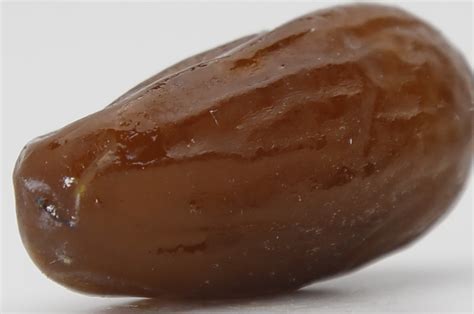 Semi Oily Treated Dataset Object Detection Dataset By Abed