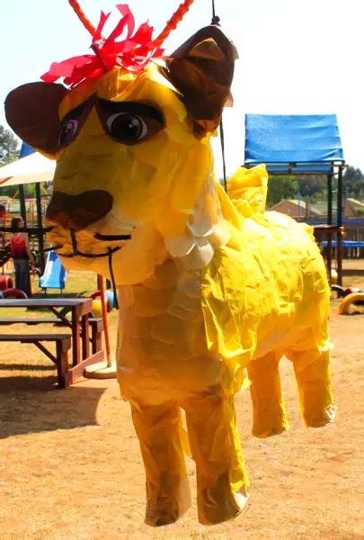 Pinata Africa Muldersdrift Gauteng