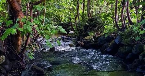 Stream Album On Imgur