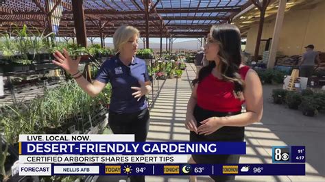 Desert Friendly Gardening Las Vegas Arborist Shares Tips As