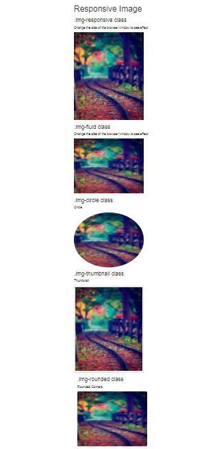 Responsive Images In Bootstrap With Examples Display Block Aspect Ratio Example