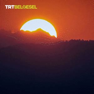 Good Morning Sunrise S