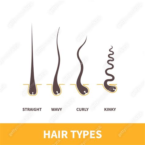 Hair Types Chart Set Of Strands Growth Patterns 이미지 1445698867 일러스트