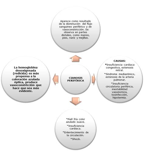 Estrategias De Intervención Cardiopulmonar