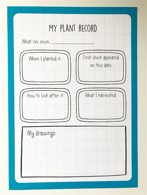 Plant Record Grow Your Own Flowers Vegetables Record Sheet