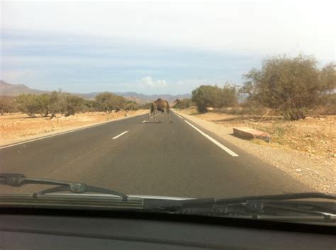 Fouad Ali Posted On Linkedin