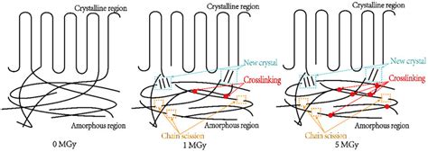 Reaction Process In The Non Dosed And Dosed Polyimide Films Download