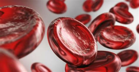 Monocitos Altos Causas Síntomas Y Enfermedades