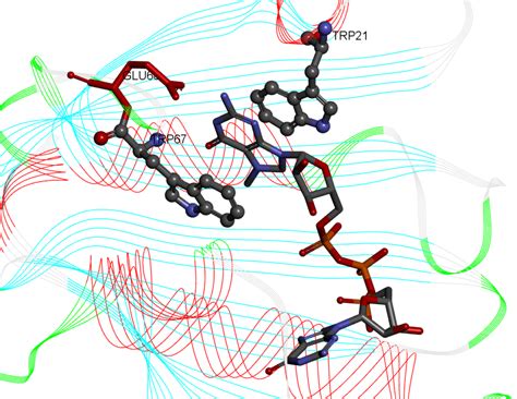 Measure The Stacking Percentage Of A Protein Ligand Complex Amber Hub
