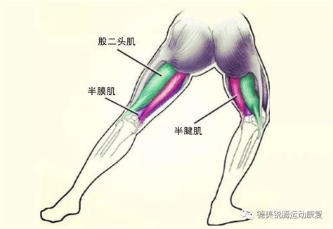 手术后，膝盖后方为什么疼？ 知乎