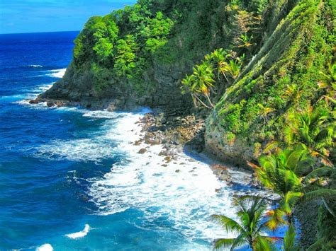 100 Caribbean Wallpapers