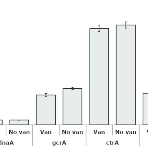 The Caulobacter Cell Cycle Control Circuit A Schematic Of The Cell Download Scientific