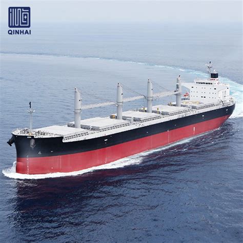 Self Unloading Bulk Carrier With 6 Sets For Cargo Hold From China