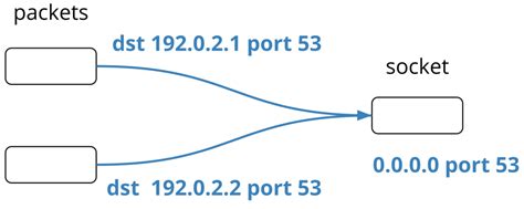 socket 监听多地址与 sk lookup bpf 的诞生 csdn博客