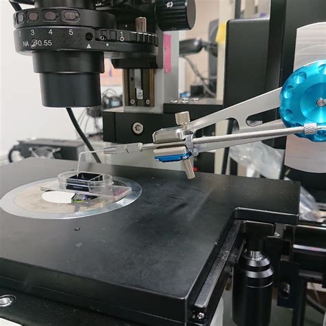 Single Cell And Spheroid Picking Sievewell™