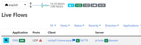 Clicking On Dns Flow Detail Causes Warning In Log · Issue 6844 · Ntop