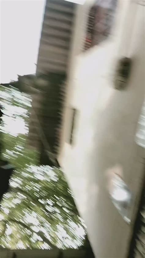 Chini Mini Lifestyle Like Instagram Viral View Reels Trending Explore India