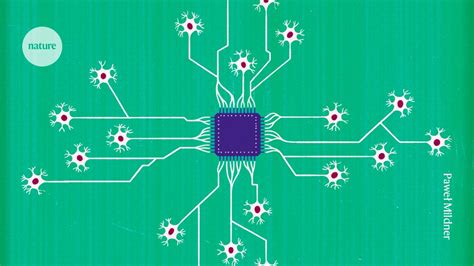 The Computers That Run On Human Brain Cells Nature