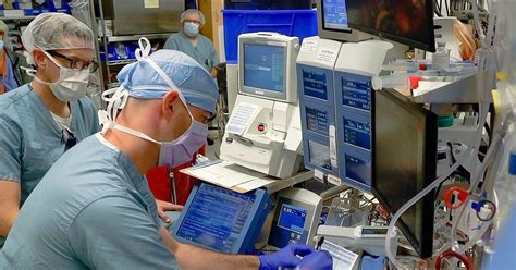 How To Become A Cardiovascular Perfusionist Vivacity Perfusion