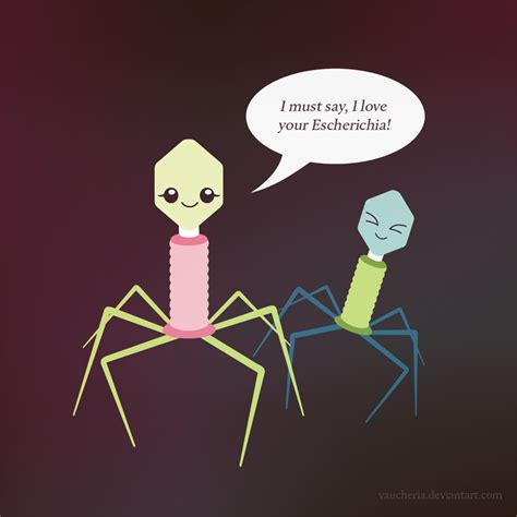 Cute T4 Phage Viruses By Vaucheria On Deviantart