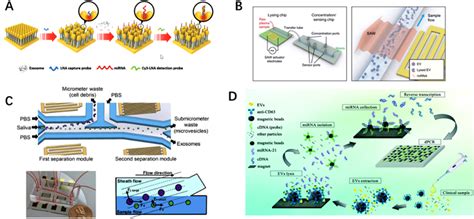 Examples Of Microfluidic Chip For Exosomal Mirna Detection A