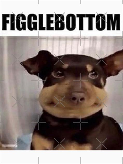 Figglebottom The Dog Meme Format T Shirt For Sale By Iavntheterrible